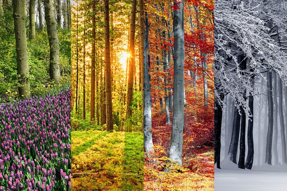 Boondocking In Colorado | A Guide To Off-Grid Boondocking